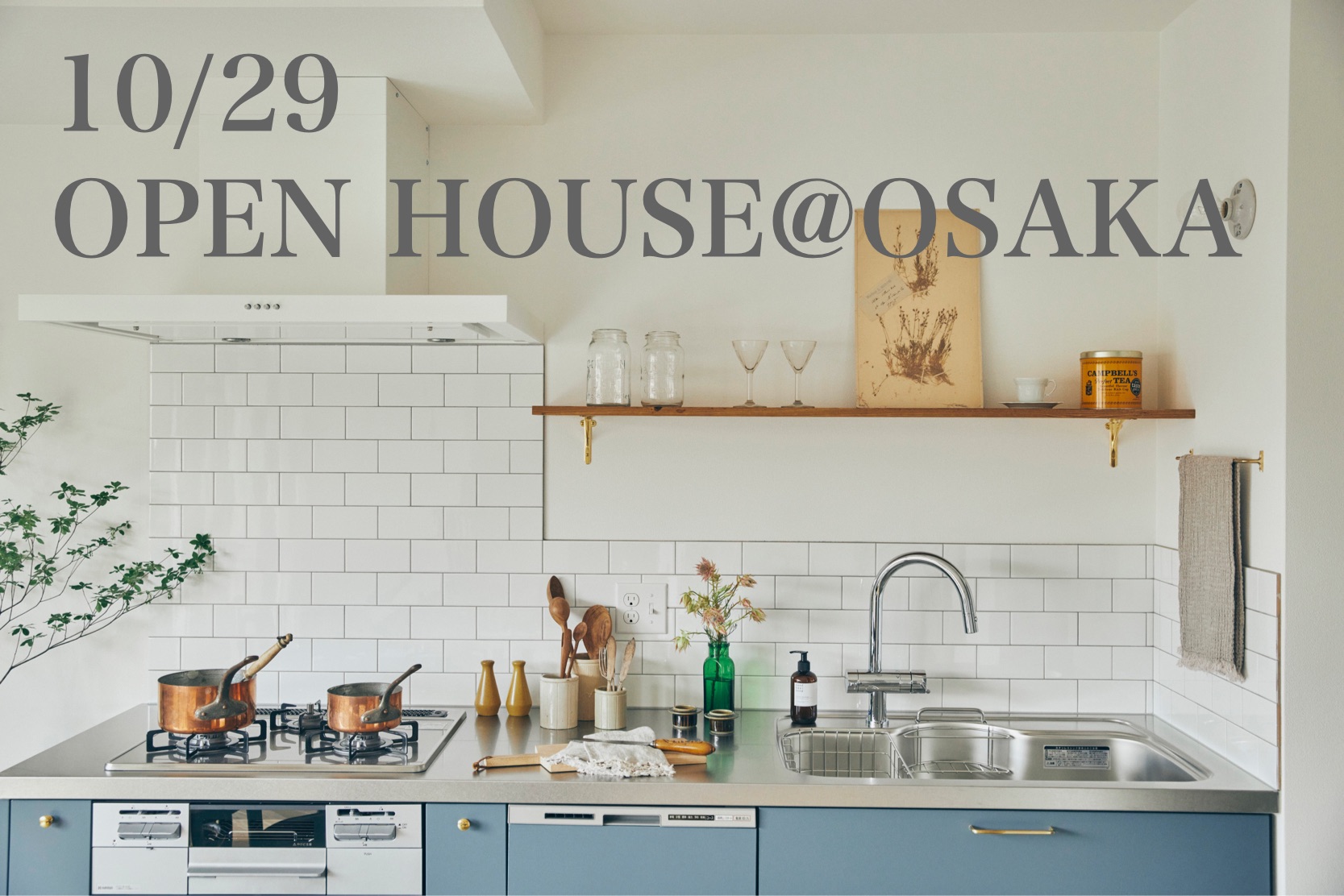 10/28 OH@OSAKA | DEN PLUS EGG / デン・プラスエッグ